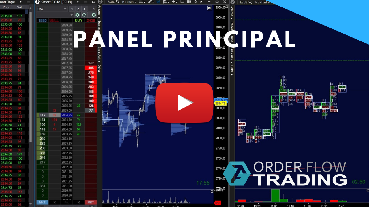 PANEL PRINCIPAL – Delta Value